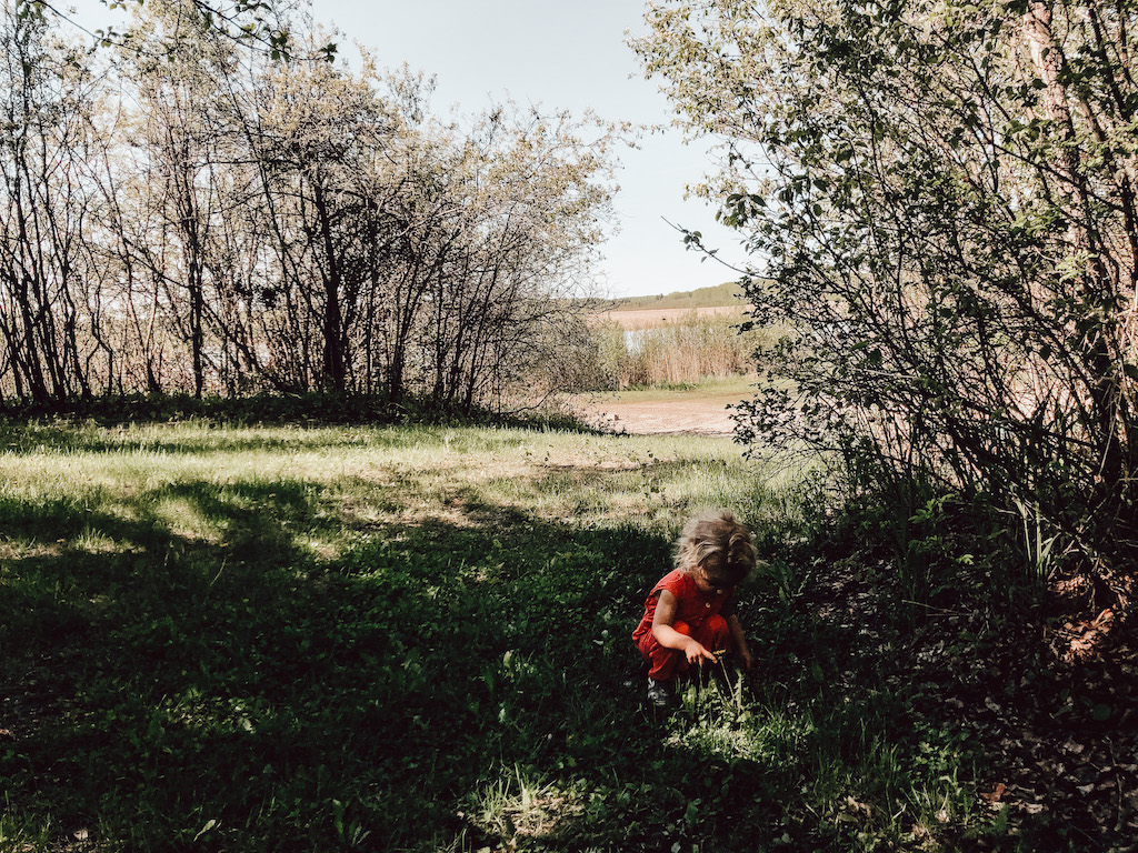 Things To Do – Cottage on North Buck Lake, Athabasca, Alberta